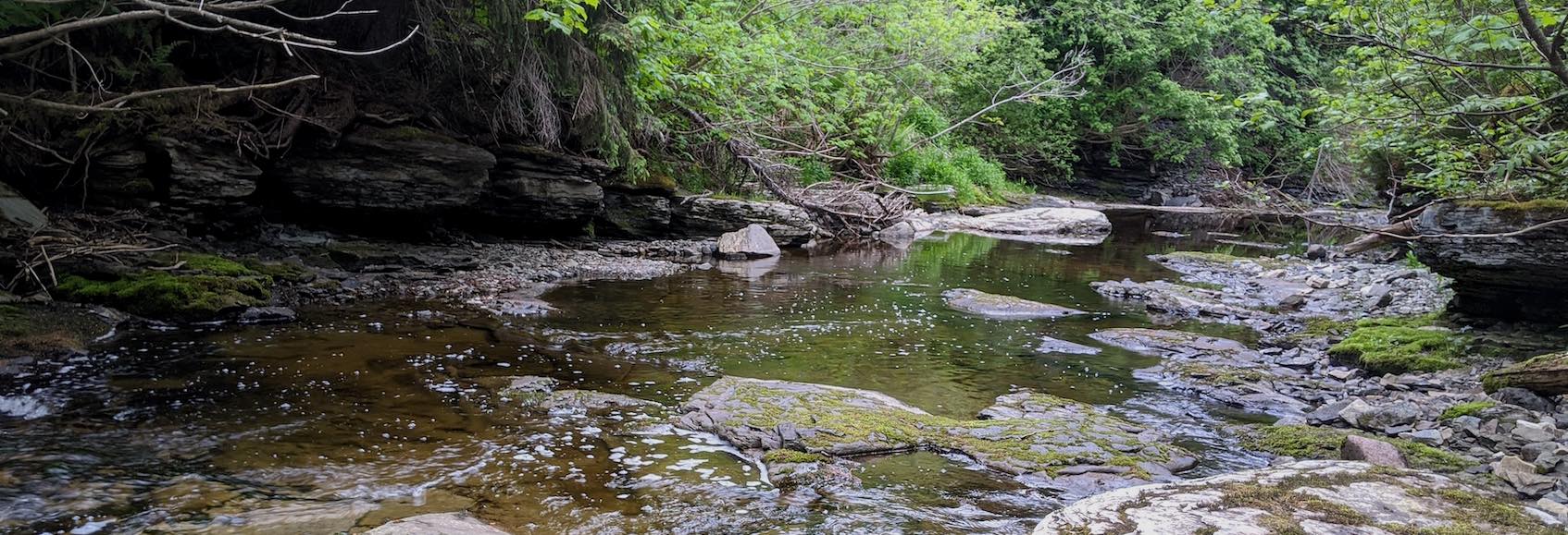 Freshwater – Aquatic Conservation Initiative